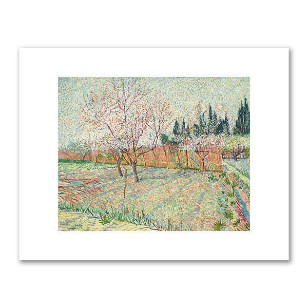 van Gogh, Orchard with Cypresses | Buy Art Prints at Museums.Co