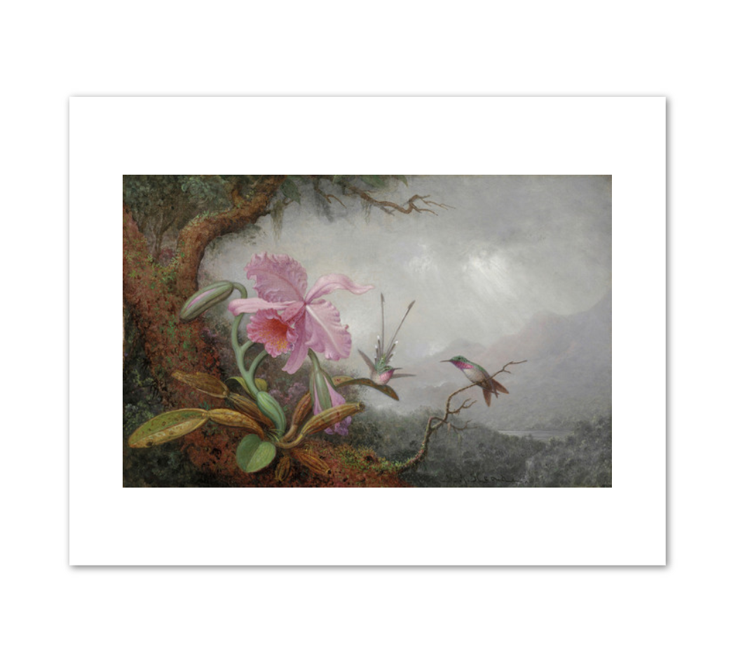 Detroit Institute of Arts, Martin Johnson Heade | Prints at Museums.Co